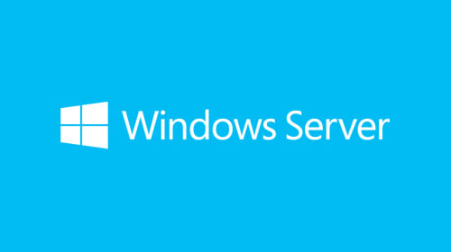 Microsoft Windows Server Standard 2019 - OEM