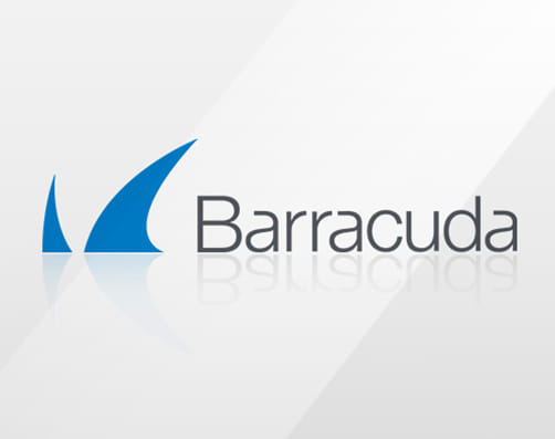 Barracuda Rack Rail Kit For Firewall F12